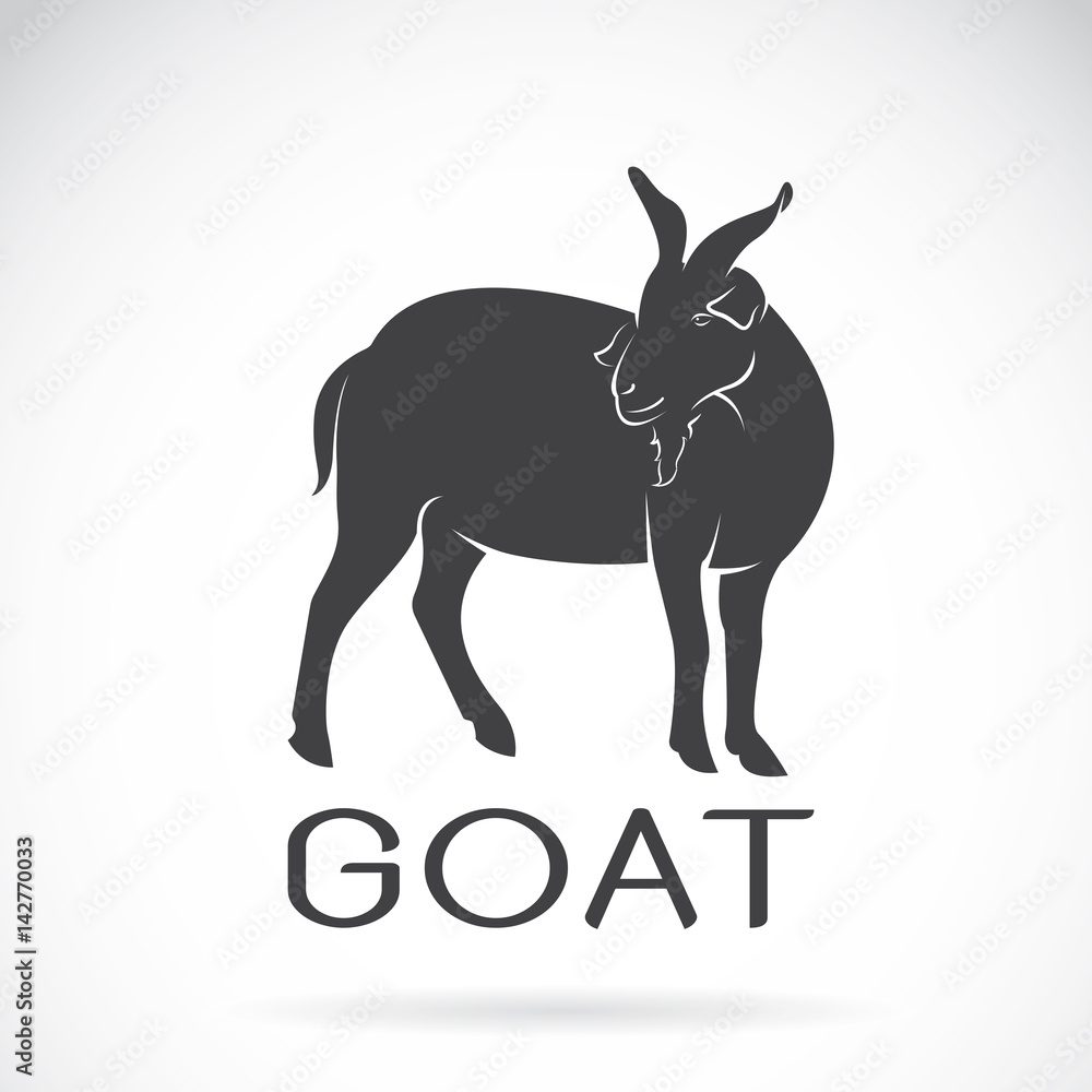 Vector of a goat on a white background. Wild Animals. Stock Vector ...