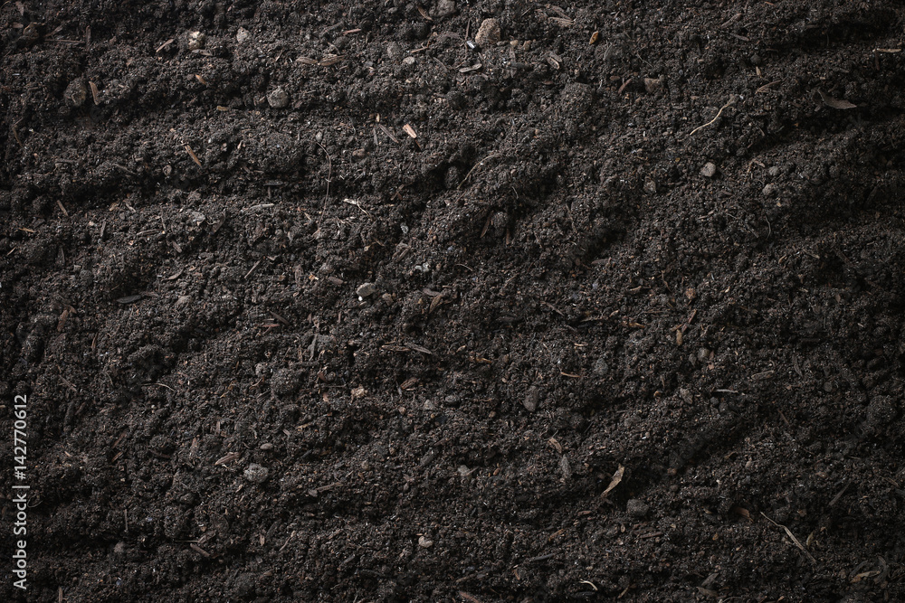 Soil texture, Soil background, Top view Stock Photo | Adobe Stock