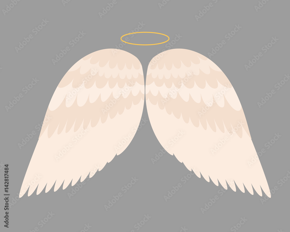 Wings angel isolated animal feather pinion bird freedom flight and ...