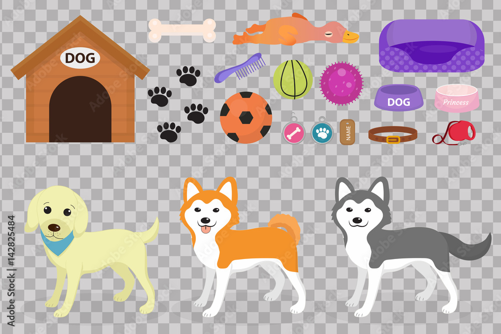 Dogs stuff icon set with accessories for pets, flat style, isolated on ...