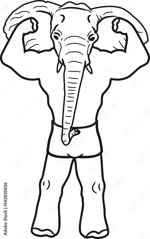 bodybuilder stark muskeln training posen trainieren sexy elefant kopf ...