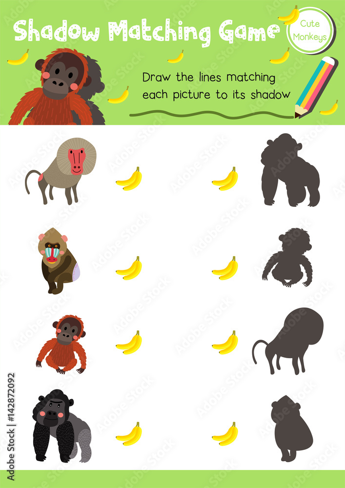 Shadow matching game of primate monkey animals for preschool kids ...