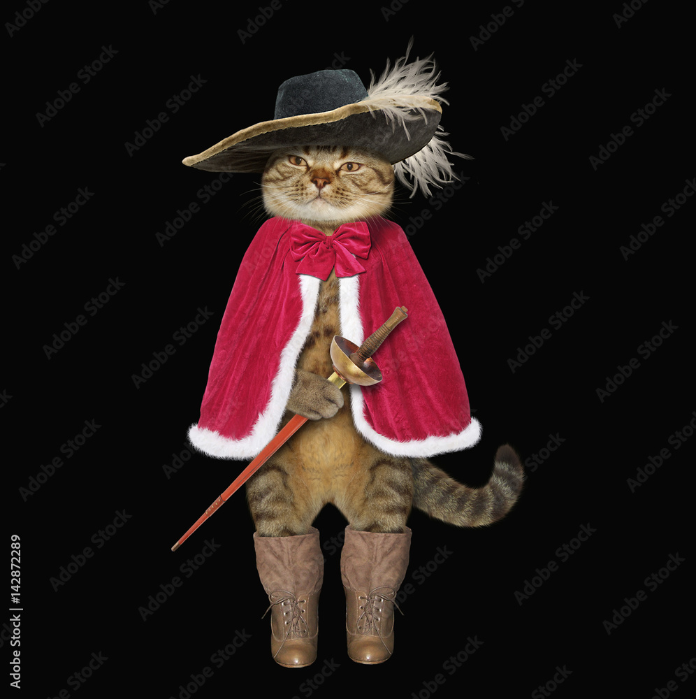 Authentic Musketeer Figurine