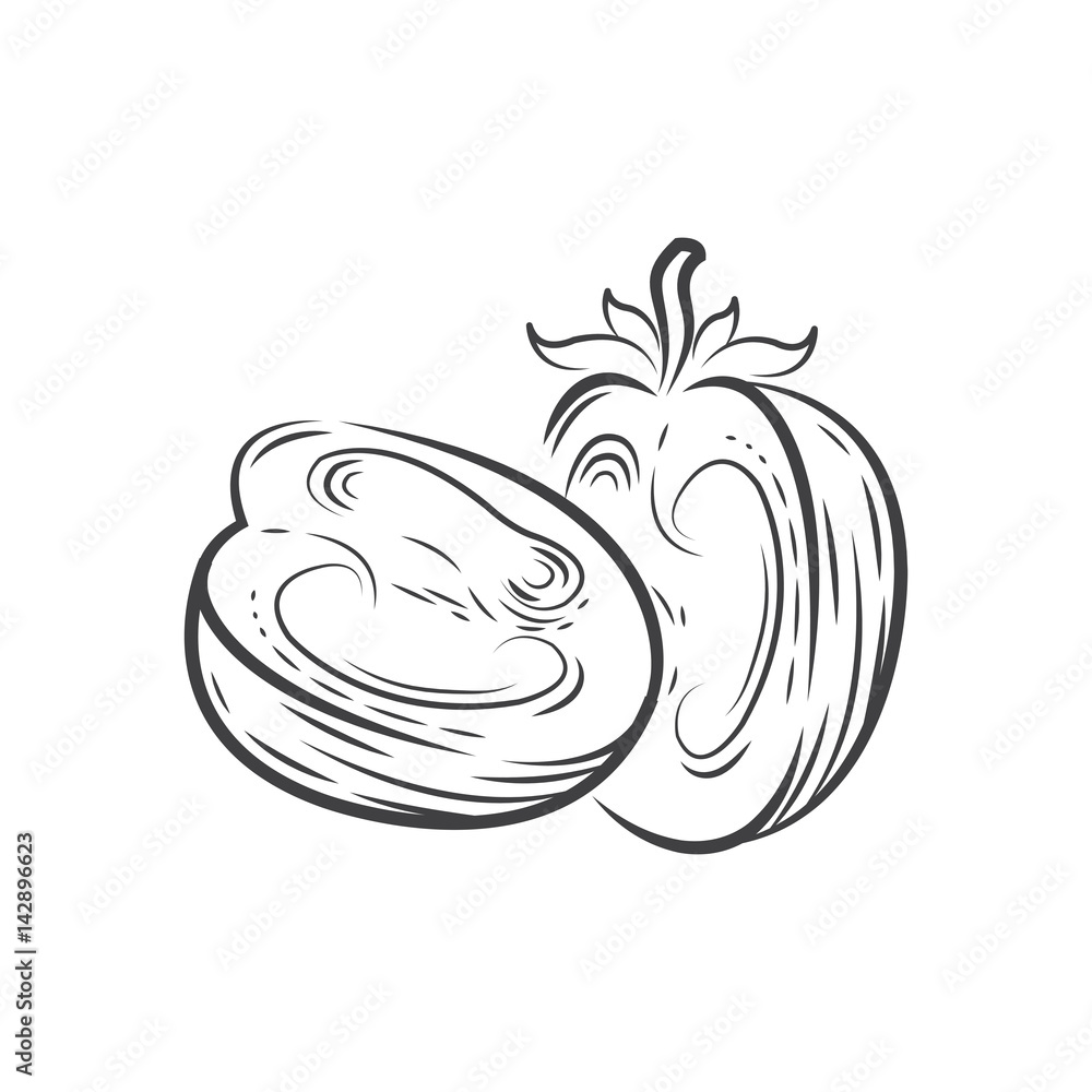 Tomato Cut half vector drawing Stock Vector | Adobe Stock