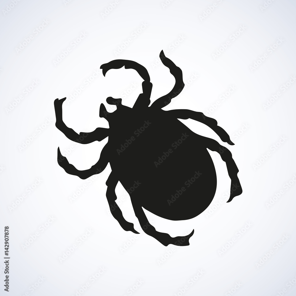Mite. Vector drawing Stock Vector | Adobe Stock