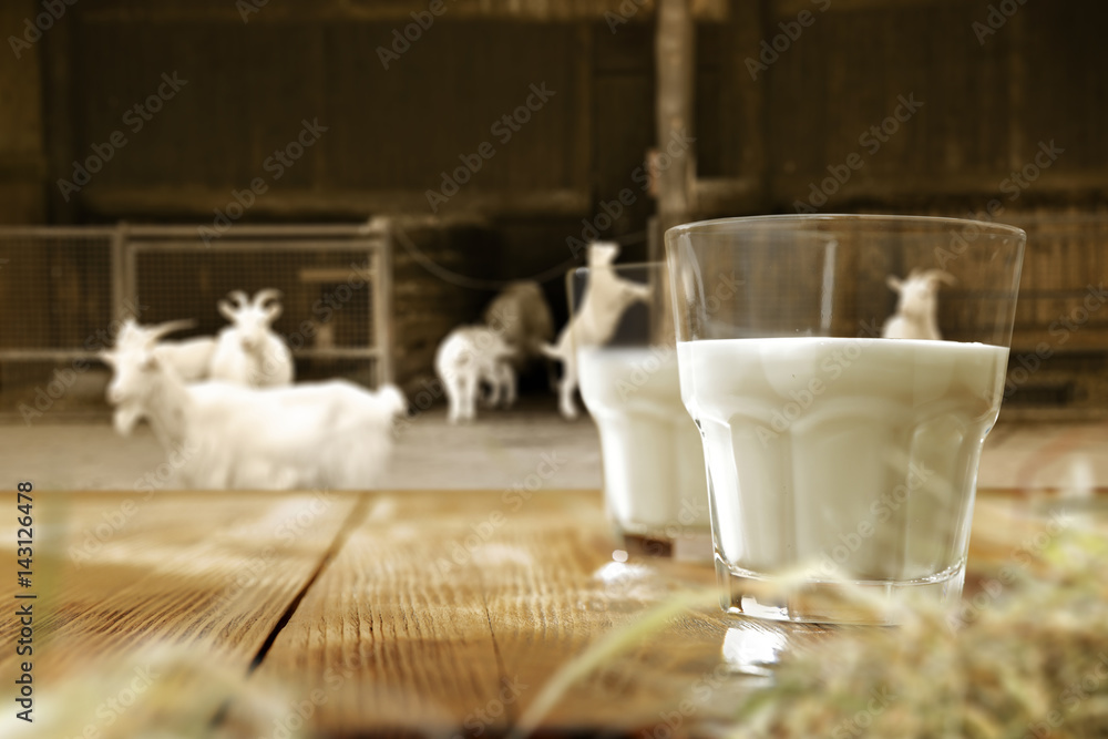 goat milk Stock Photo | Adobe Stock