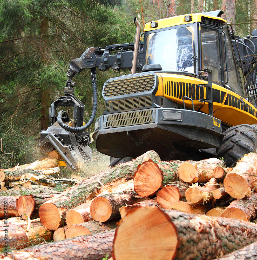 The harvester working in a forest. Harvest of timber. Firewood as a ...