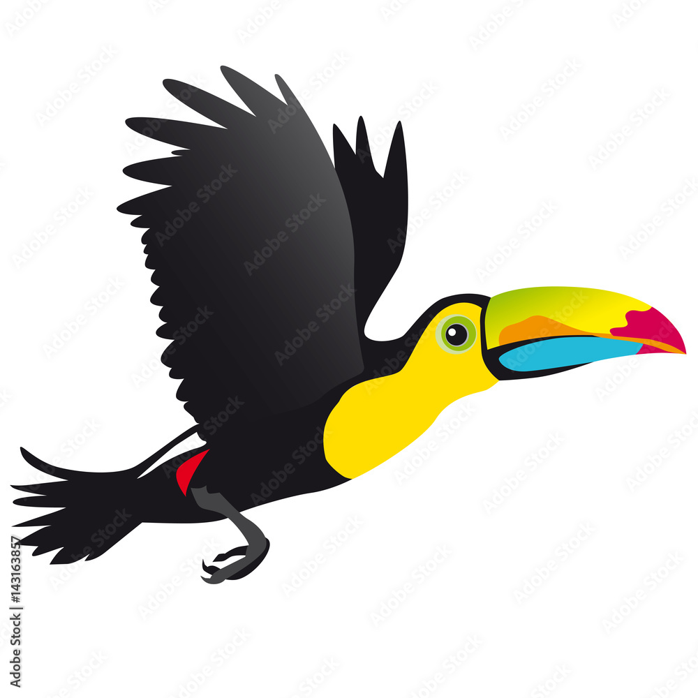 Tukan im Flug Stock Vector | Adobe Stock