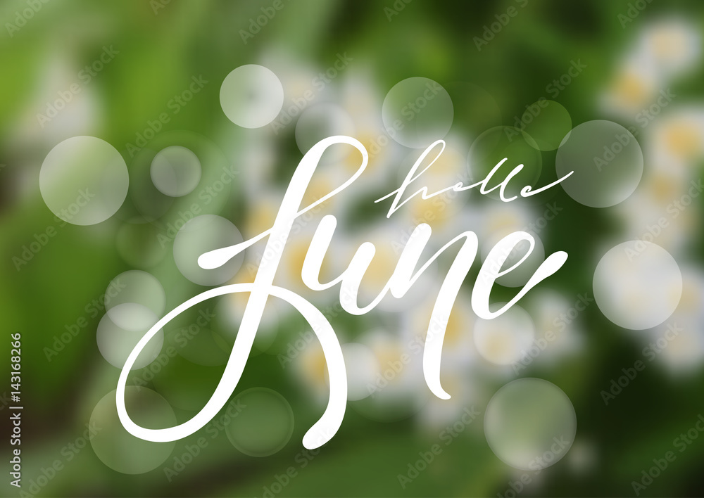 Hello June hand drawn lettering design isolated on a blurred floral ...