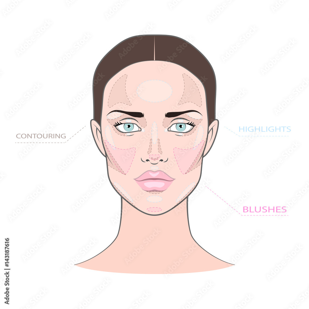 Fashion female makeup charts of blushing, contouring, highlights Stock ...