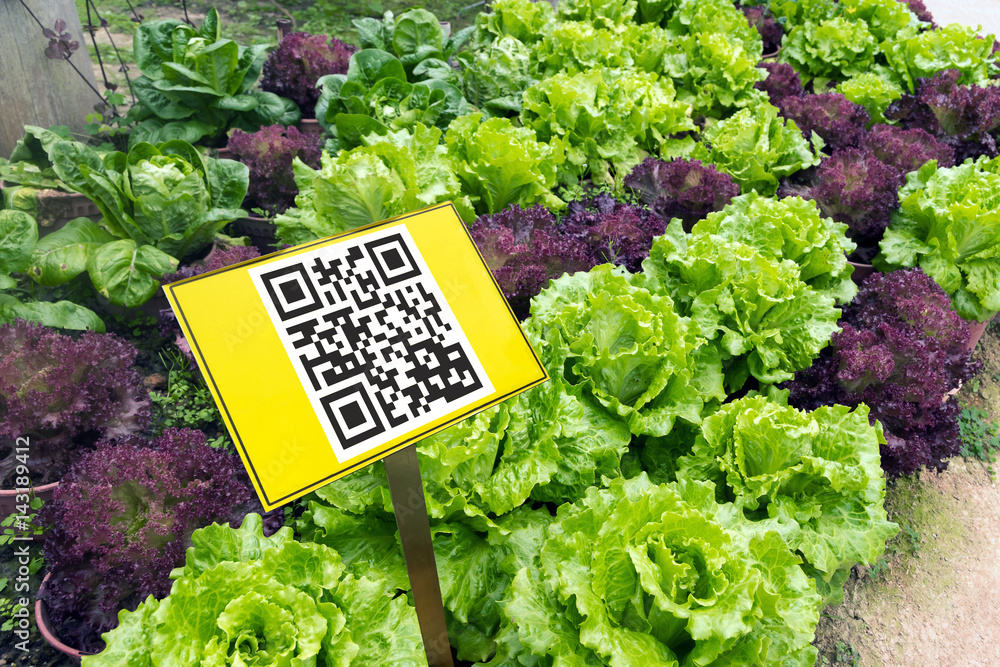 Smart agriculture, farm. Interactive QR Code Plant Tags & Signs with ...