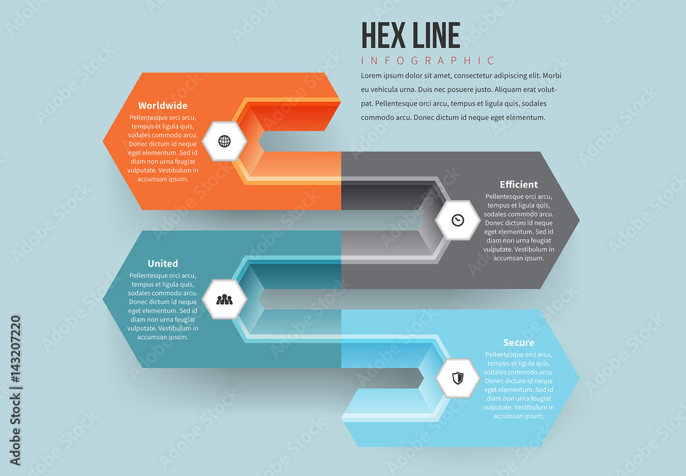 Hex Line Infographic Stock Template | Adobe Stock