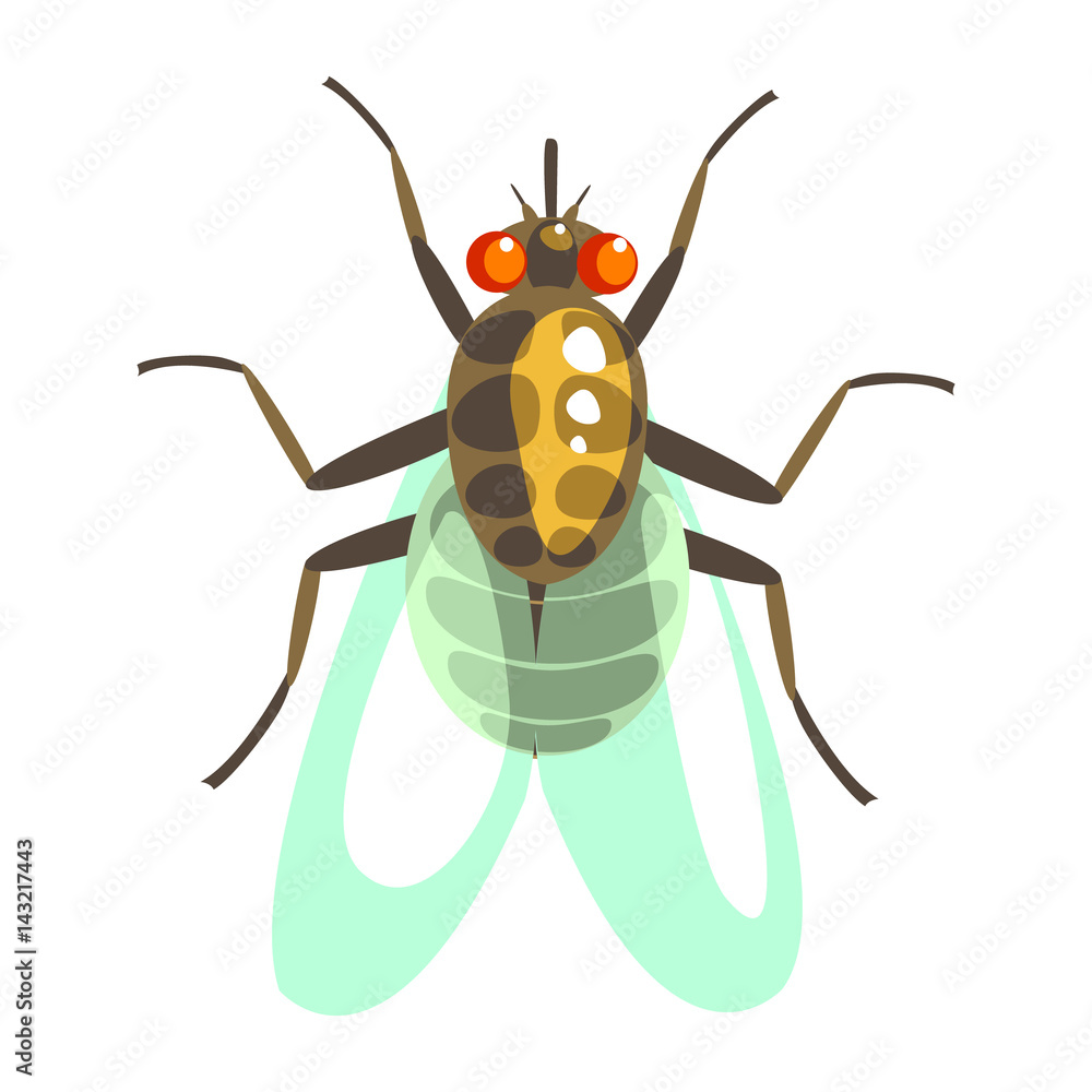 Fly insect colorful cartoon character Stock Vector | Adobe Stock