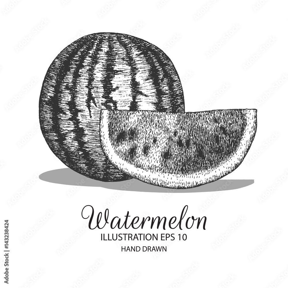 Watermelon Pencil Drawing