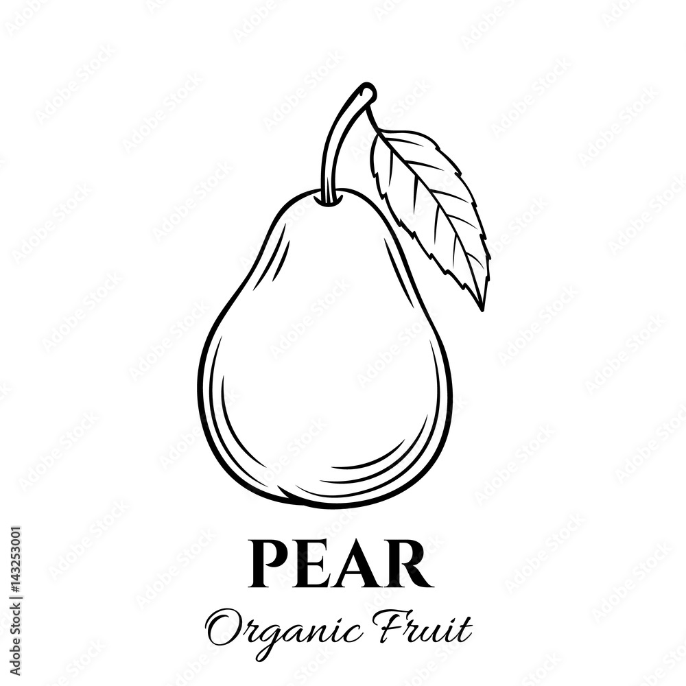 Hand drawn pear icon. Stock Vector | Adobe Stock