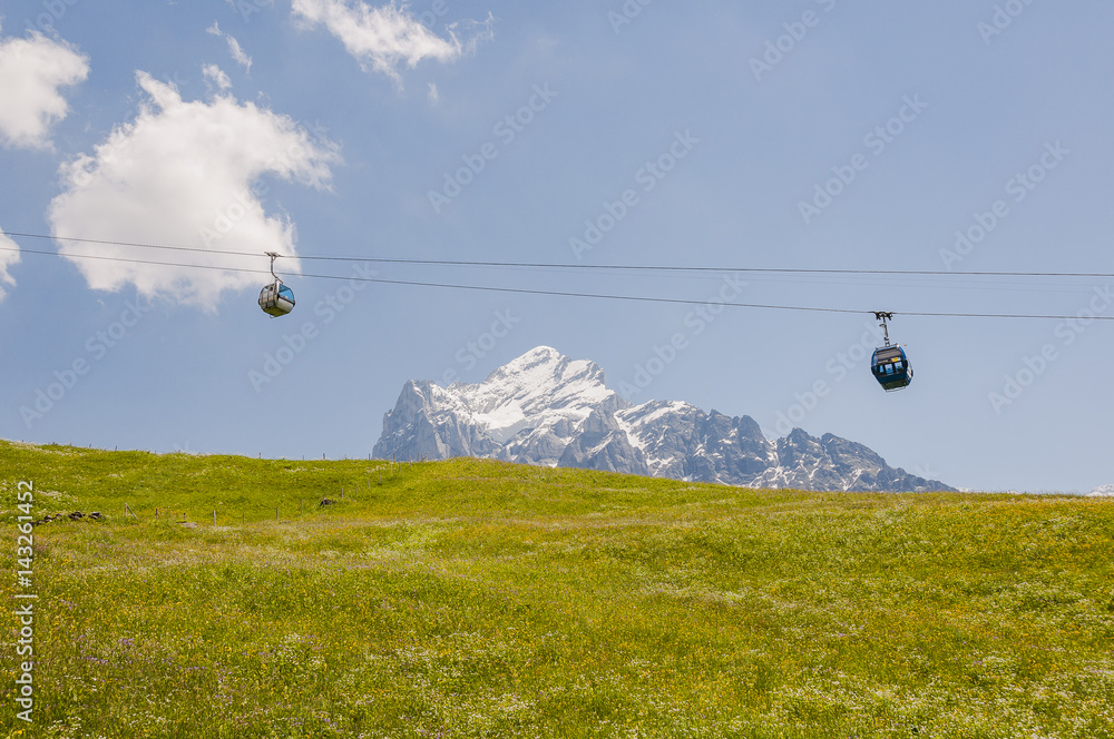 Grindelwald, First, Berner Oberland, Wanderweg, Bergbahn, Bergwiesen ...