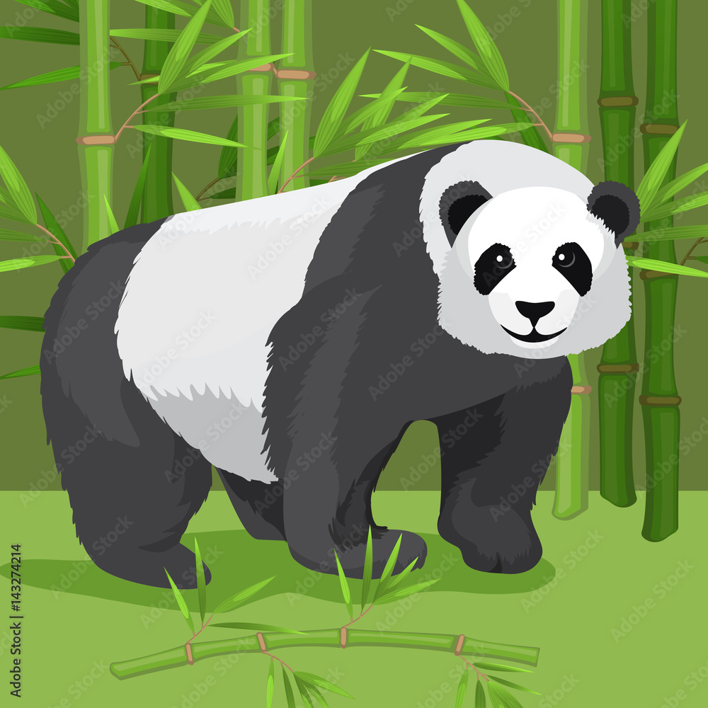 Black and white heavy panda stands on paws, bamboo background. Stock ...