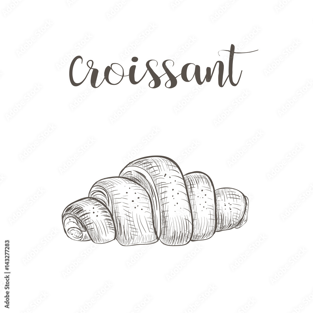 Croissant pastries. Sketch of a vintage style hand drawing. Vector ...
