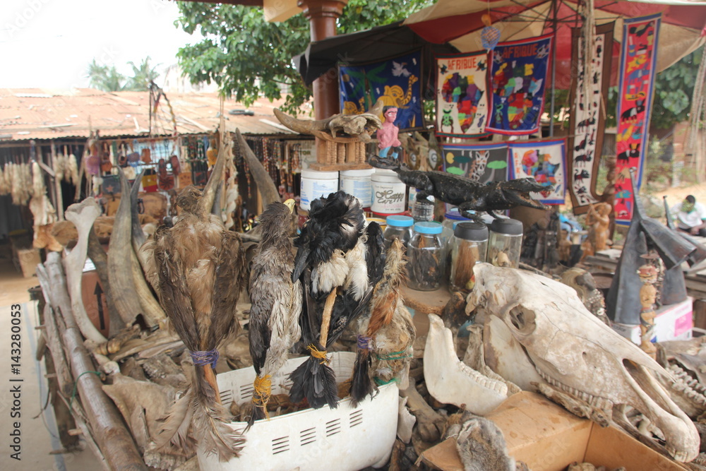 Lome Voodoo Market