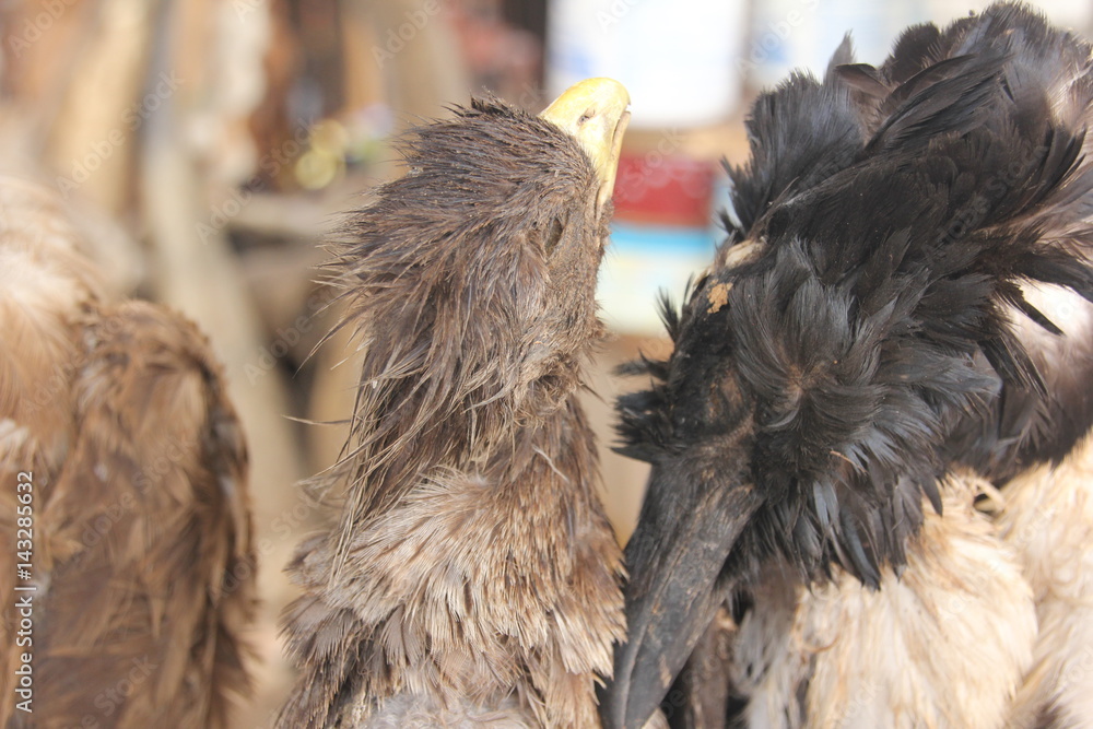 Birds and Voodoo paraphernalia, Akodessawa Fetish Market, Lomé, Togo ...