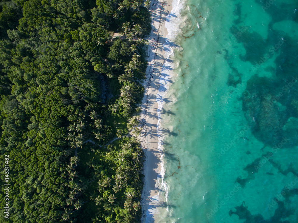 Recif de corail et lagon sur une ile de la Caraibe, Martinique Stock ...