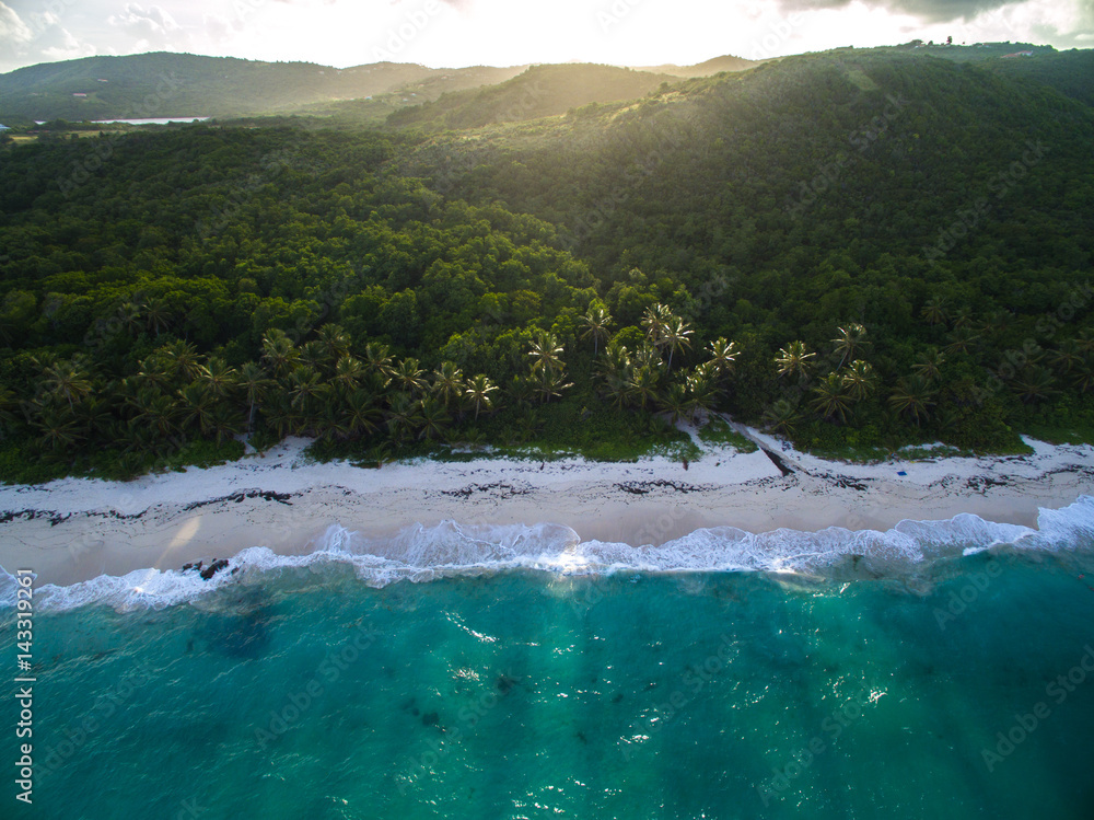 Recif de corail et lagon sur une ile de la Caraibe, Martinique Stock ...