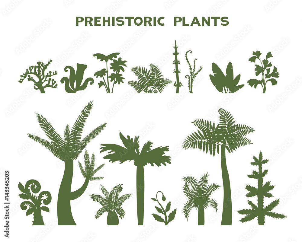 Prehistoric Tropical Plants