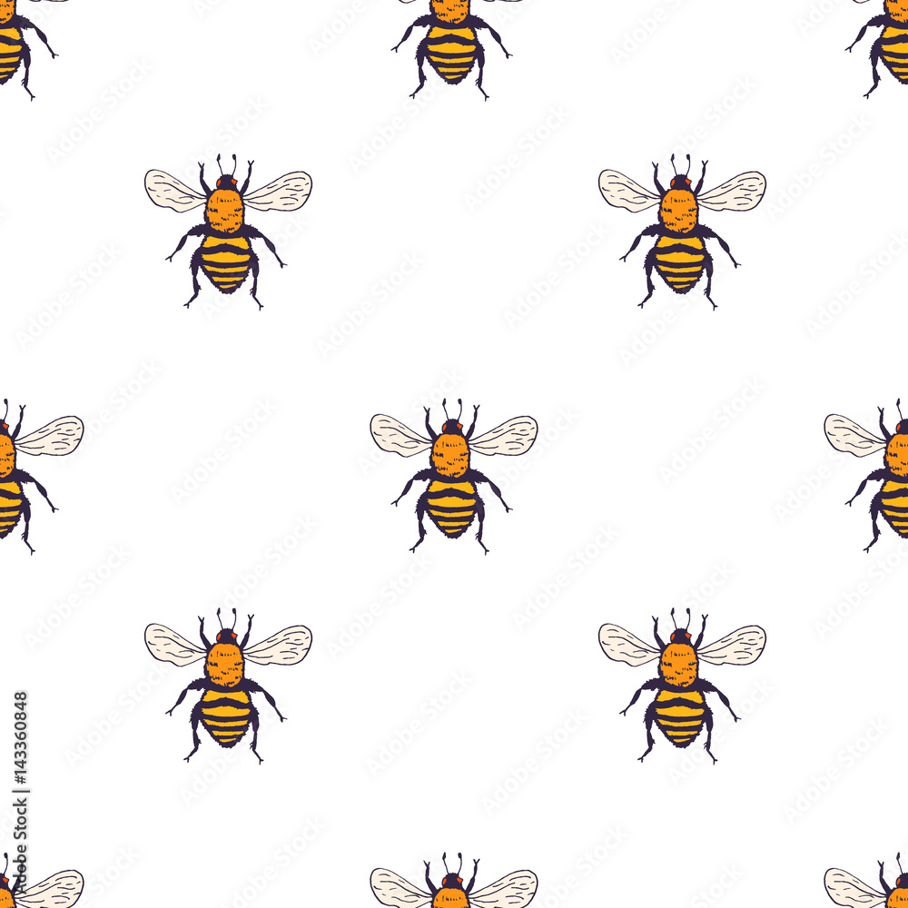 Vector bees set - seamless pattern. Hand drawn ink sketch with ...