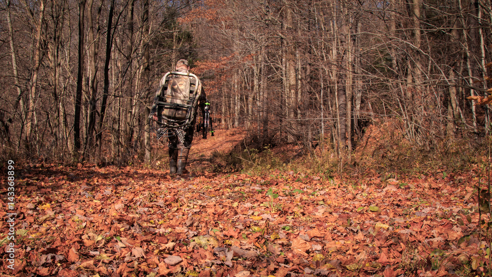 Walk into the Woods. Archery hunting big woods. Hunter walking through ...