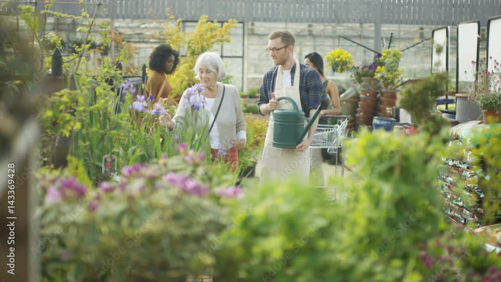 Friendly worker in garden center, watering the plants & talking to ...
