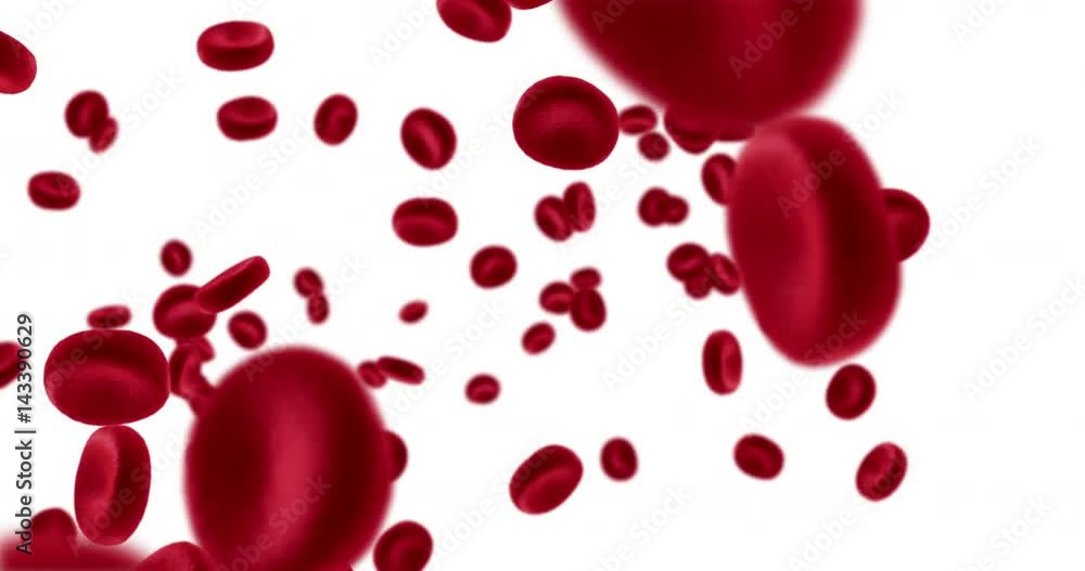 3D rendering animation red blood cells in an artery, flow inside body ...