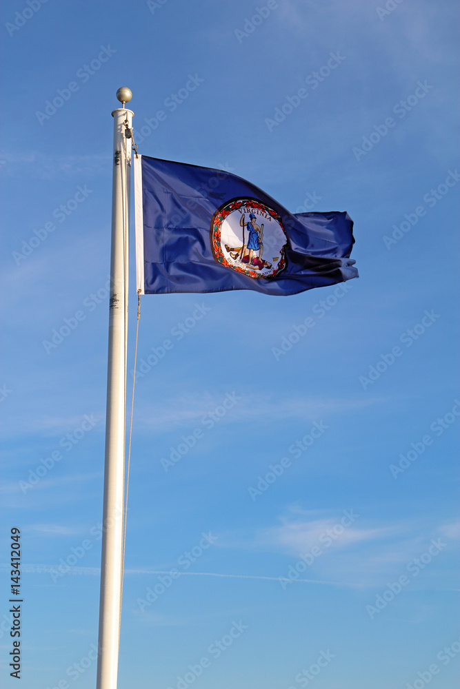 Virginia state flag against a blue sky vertical Stock Photo | Adobe Stock