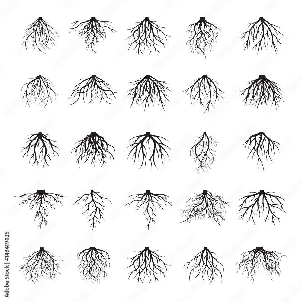 Big set of black roots. Vector Illustration. Stock Vector | Adobe Stock
