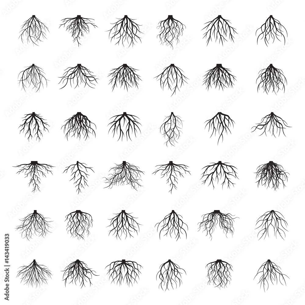 Big set of black roots. Vector Illustration. Stock Vector | Adobe Stock