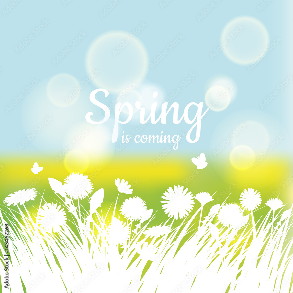 Hello Spring lettering with green grass and chamomile on green ...