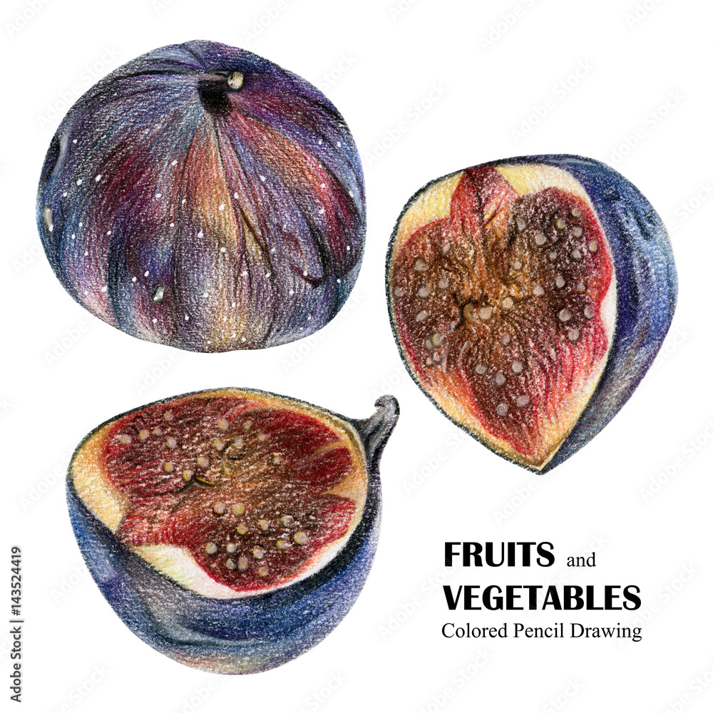 Colored Pencil Drawings Of Fruit