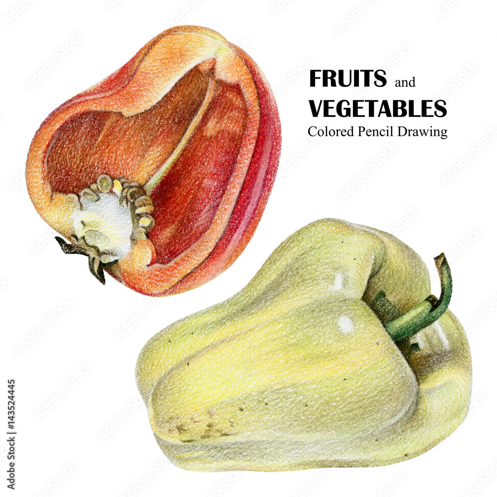 Vegetables Pencil Drawing
