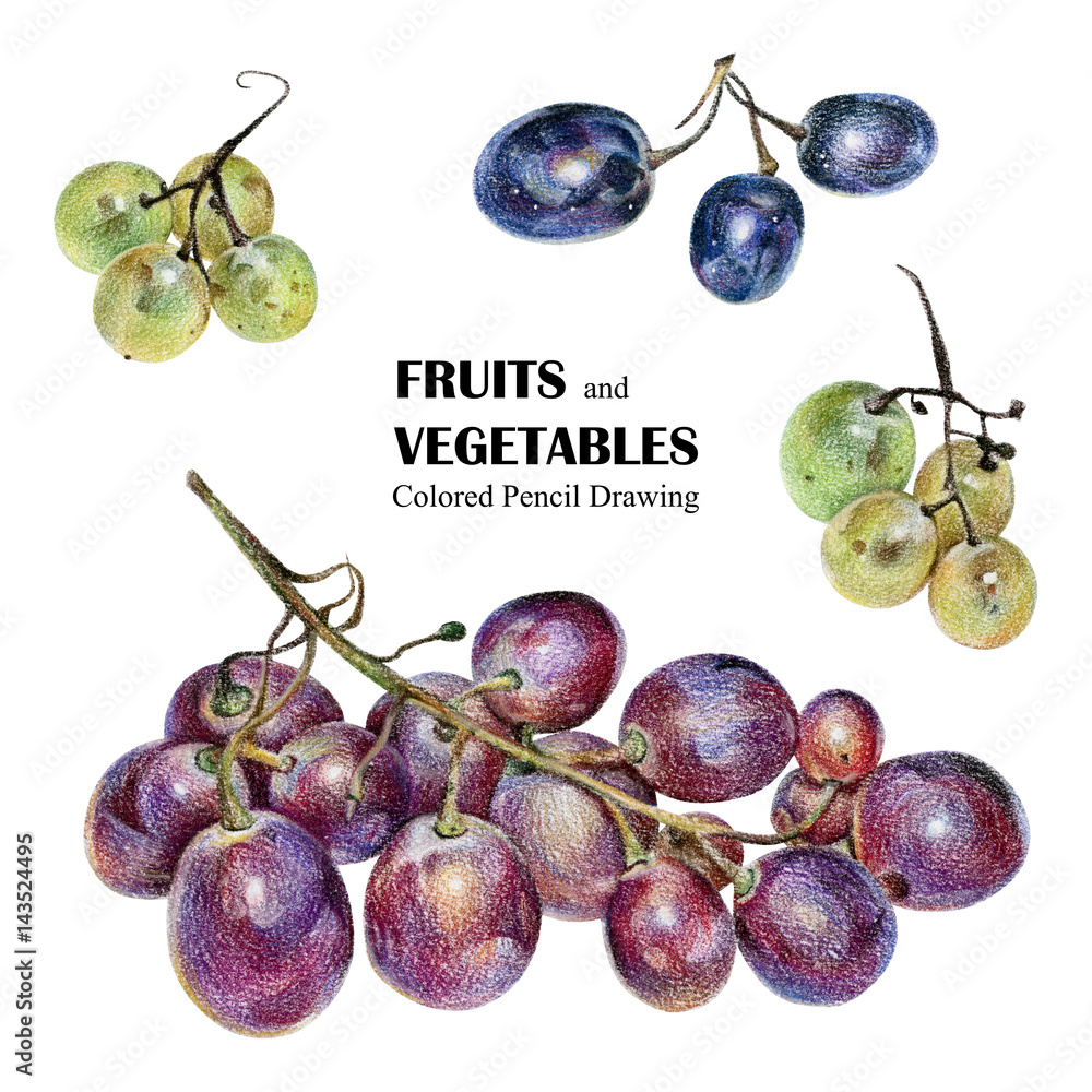 Pencil Drawing Of Grapes