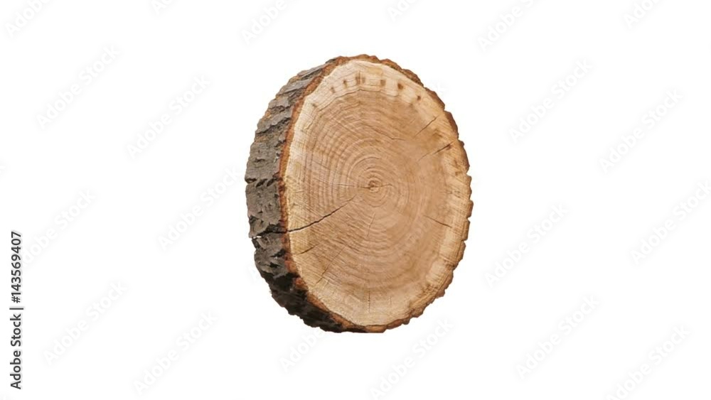 Rotating cross section of tree stump, isolated on white background ...
