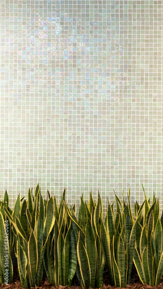 green wall tiles porcelain mosaic texture background with green leaves ...