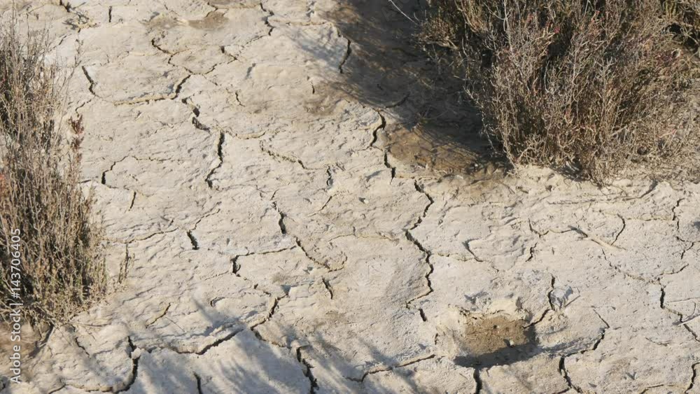 Dehydrated dry soil in the desert Stock Video | Adobe Stock