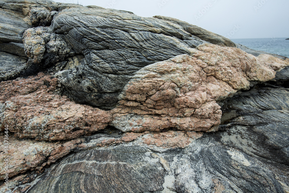 Pink granite intrusion in gray gneiss at Harkness Park, Connecticut ...