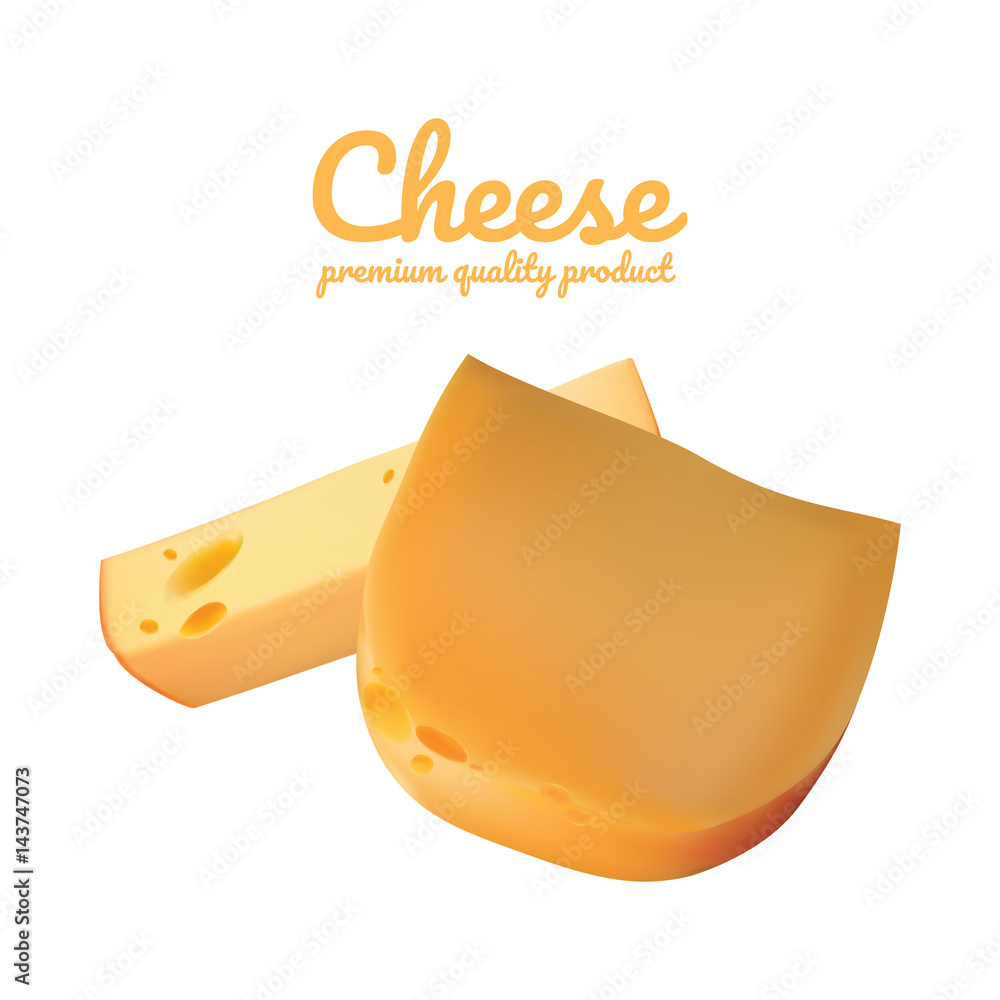 realistic Cheese vector illustration. Cheese types. Cheese isolated on ...