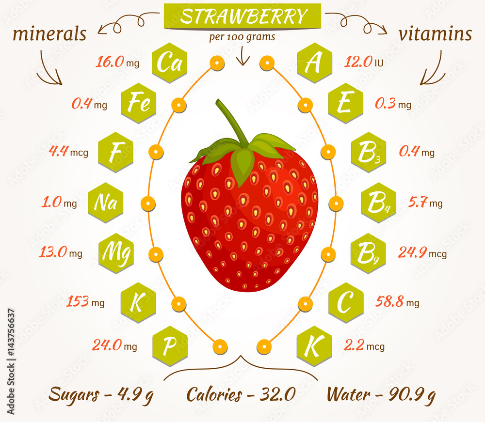 The content of minerals and vitamins in strawberry. Vector illustration ...