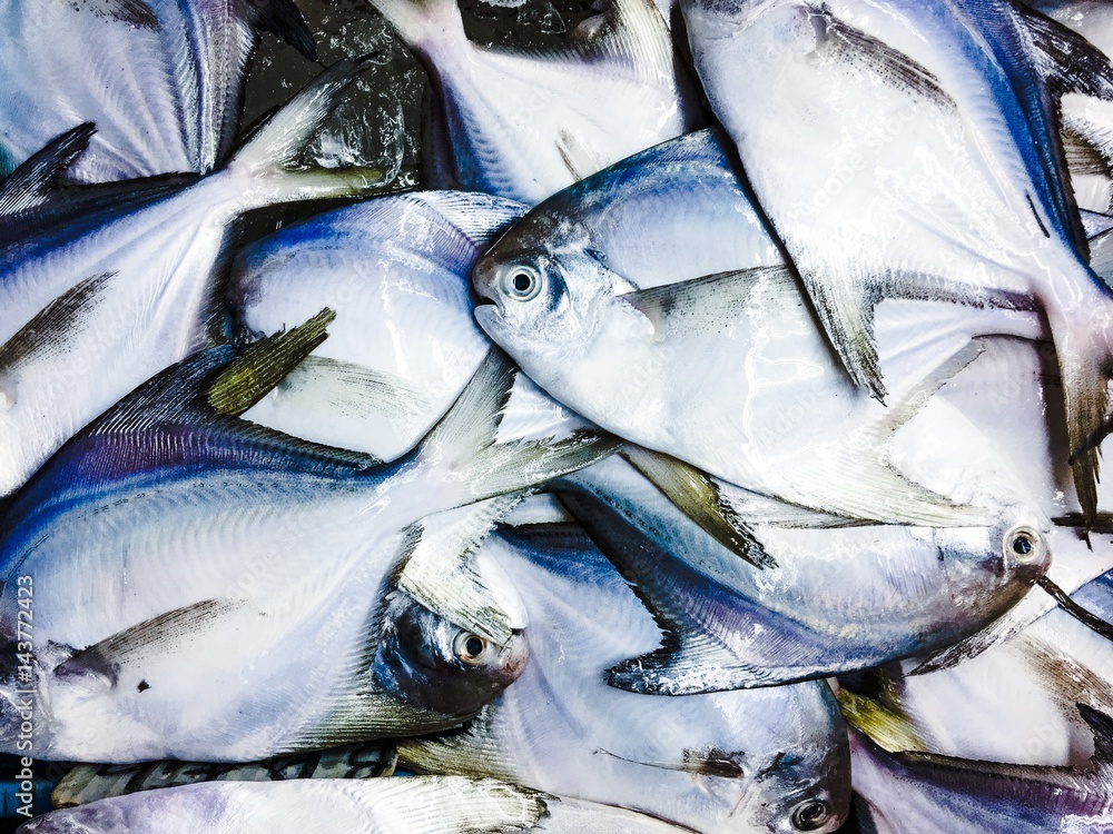 Pattern and texture. Fish at market. Raw fish background concept ...