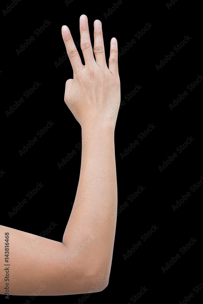 Back Of Womans Hand