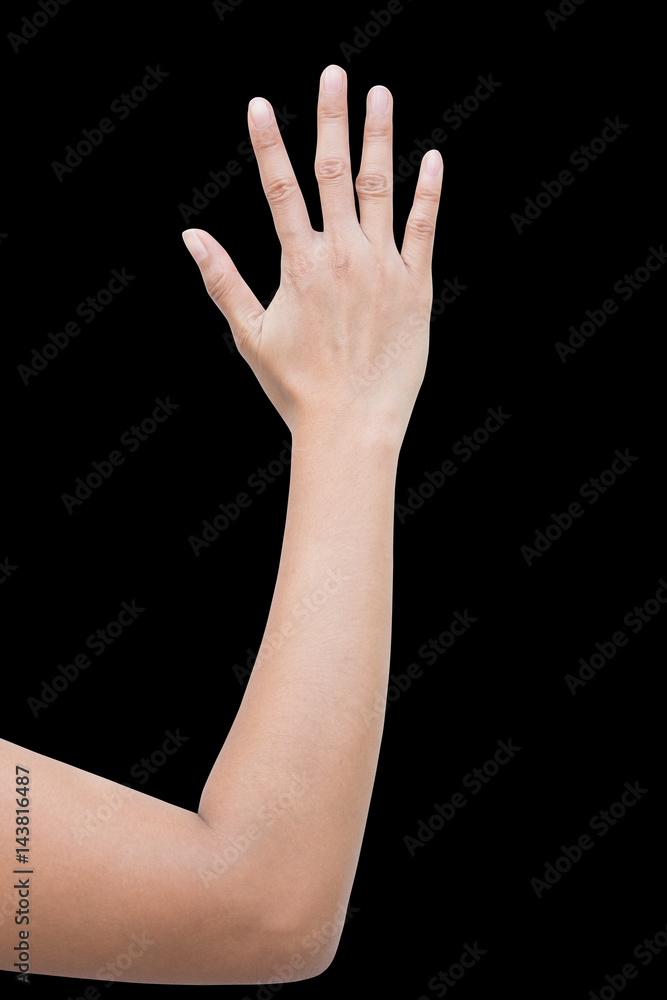 Female Hand Back