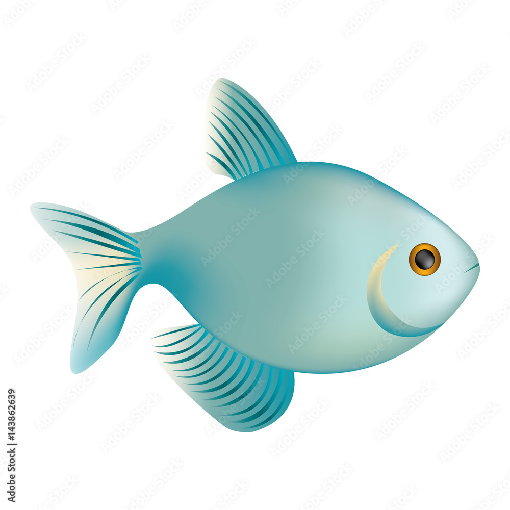 colorful realistic fish aquatic animal icon vector illustration Stock ...