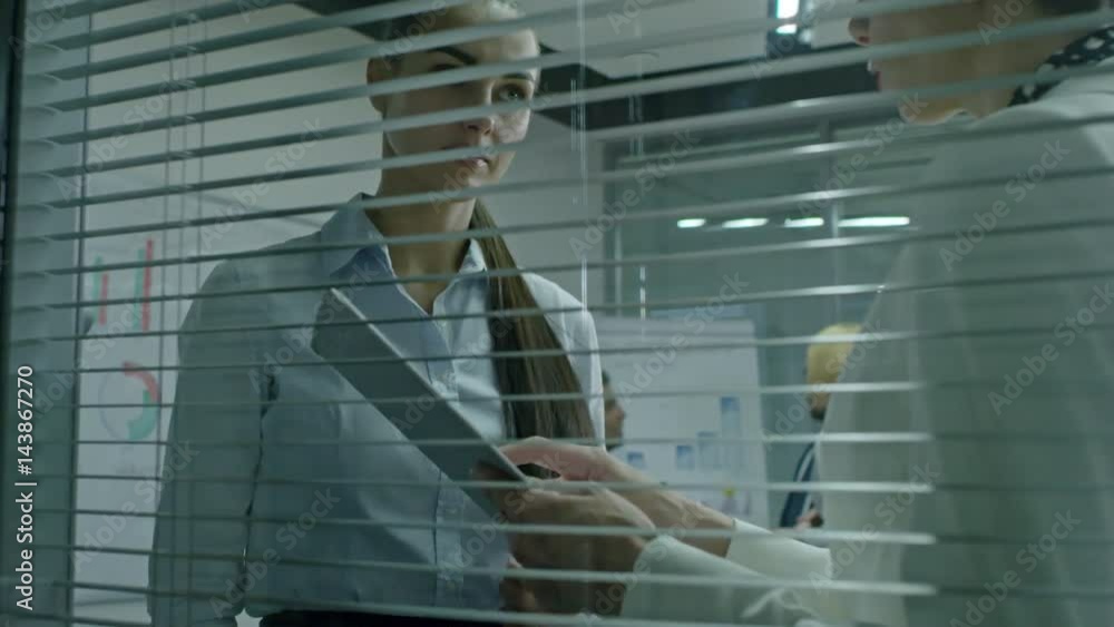 Tilt down shot through window of conference room of businesswoman with ...