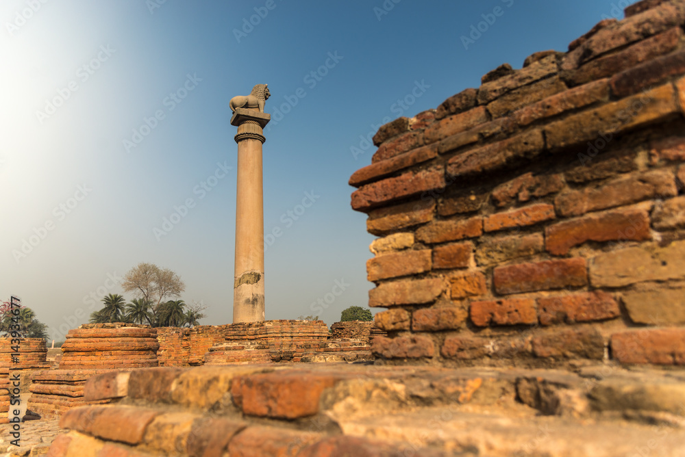 Ashoka pillar, select focus at pillar, the pillar is located at ...